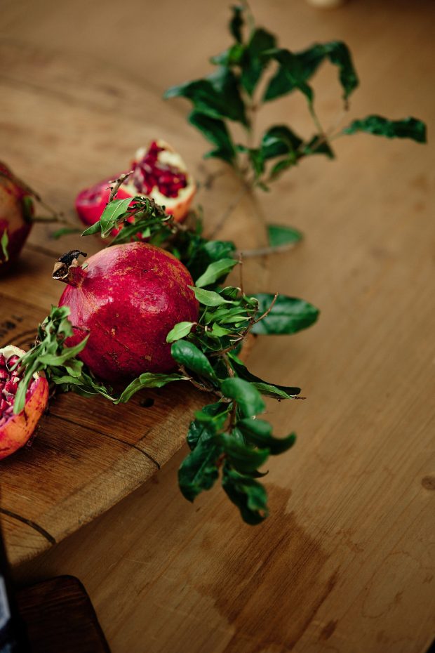 Naveh Guest Farm and Venue | Deandre & Drickus Wedding